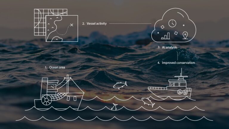 Deep Dive: Impact AI on Marine Ecology - Amazinum