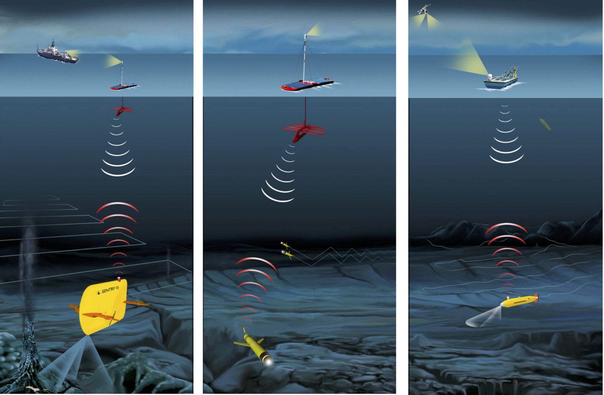 Deep Dive: Impact AI on Marine Ecology - Amazinum