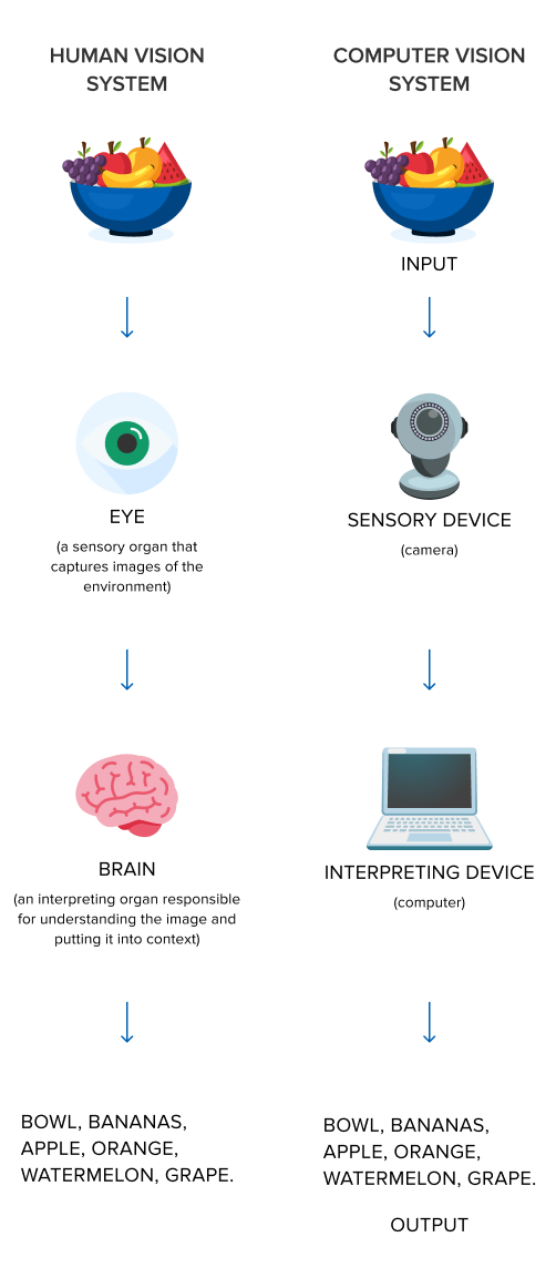 Computer Vision Development - Amazinum